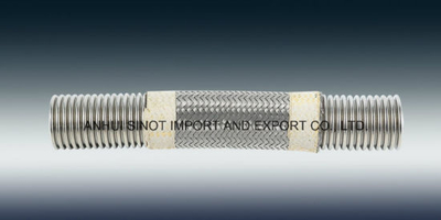 Dn10--Dn40 Flexible Braided Hoses